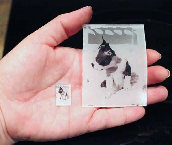 40-diy-shrinky-dink-plastic-craft-ideas-cool-crafts