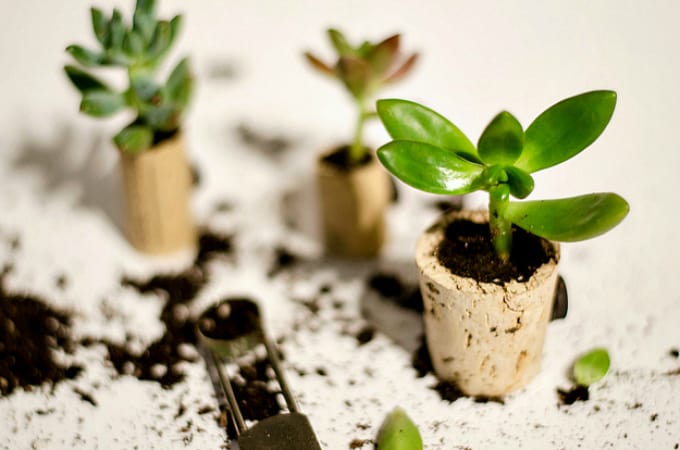 60 Creative DIY Planters You'll Love For Your Home • Page 2 of 2 • Cool ...